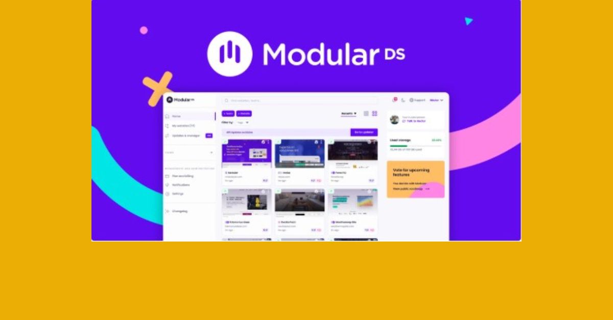 Modular DS Review - softdyno